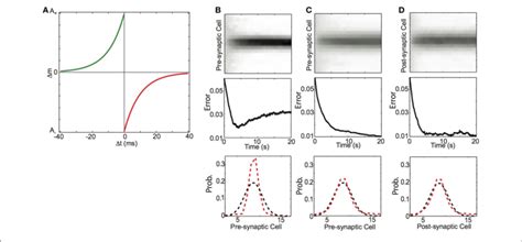 balanced spike timing dependent plasticity stdp learns conditional