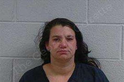 Heather Dawson — Polk County Jail Bookings