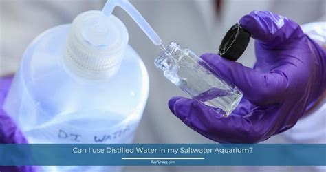 Using Tap Water In Your Saltwater Aquarium [is It Safe] Reef Craze