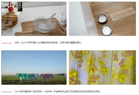 meta发布segment anything 模型和segment anything 10 亿掩码数据集，帮助研究人员进行计算机视觉和对象识别 智源社区