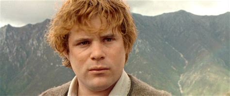 Samwise Gamgee The Games Wiki Fandom