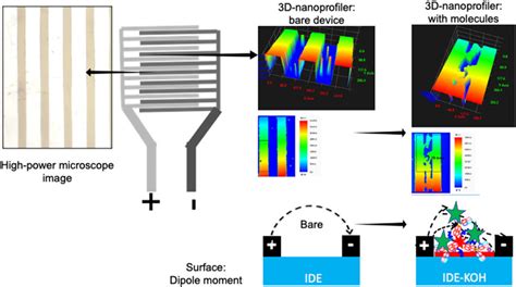 Surface On Interdigitated Electrode High Power Microscope And