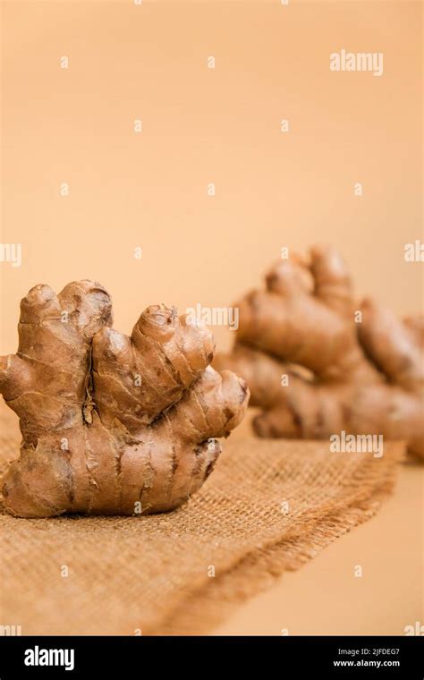 Fresh Organic Ginger Rhizome Root Used In Traditional Medicines
