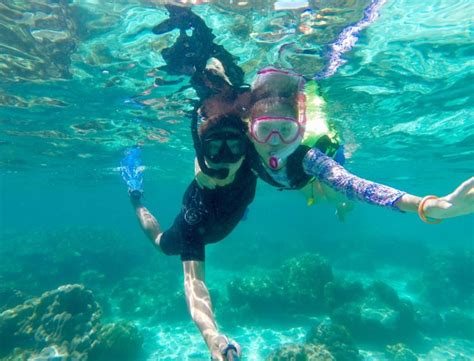 Budget Phi Phi Bamboo Island Day Trip All Included To Discover Phi Phi Islands Bamboo Island And