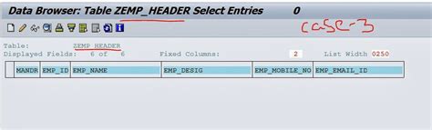 Sap Luw And Db Luw 2 Sapcodes