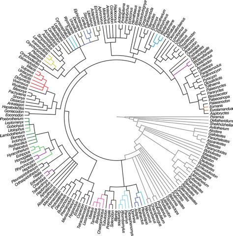 strict consensus of all discrete unconstrained du trees within one