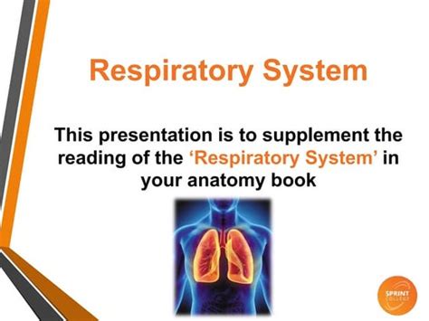 Respiratory System Powerpoint 2015 1ppt
