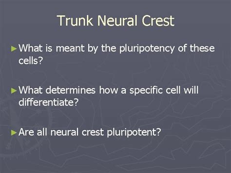 Neural Crest Cells And Axonal Specificity Neural Crest