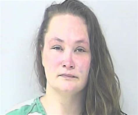 Adult Toy Trouble Florida Woman Busted Fighting Dirty Again