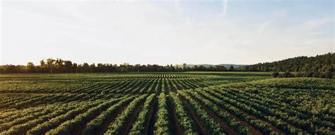 Variable Rate Technology Vrt In Precision Agriculture Qaltivate