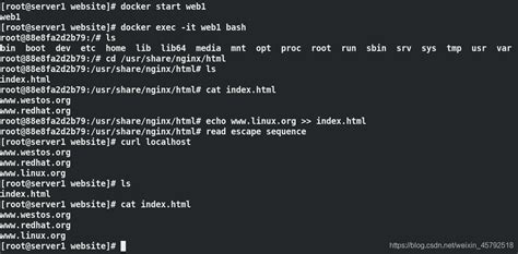 docker容器数据卷——bind mount数据卷、docker managed volume数据卷、convoy卷插件 bind