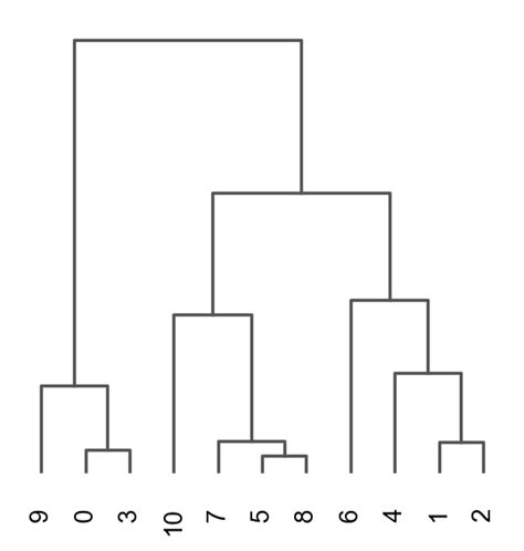Scanpy Clustering
