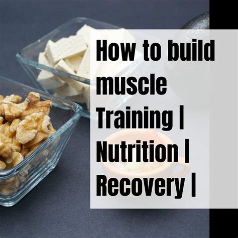 Macros For Cutting Dietitian Step By Step Guide