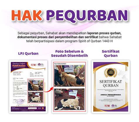 Qurban Sapi Patungan Donasi Online Griya Yatim Dan Dhuafa