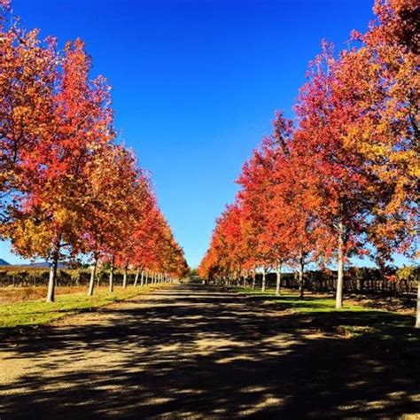 Stream Rizal Risjad Music Listen To Songs Albums Playlists For Free On Soundcloud