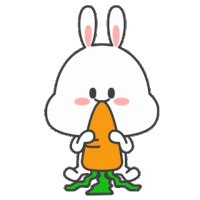 Rabbit Eating Carrot S Tenor