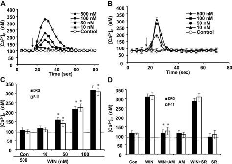Cannabinoid Agonist Win Induces Increases In Ca 2 I Win Produced A
