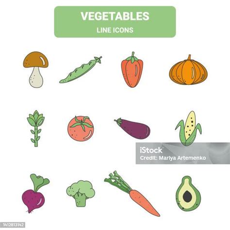 야채 세트 패턴의 벡터 일러스트레이션 선형 아이콘 배경 포장 건강한 식습관 과일에 대한 스톡 벡터 아트 및 기타 이미지 과일 날것 디자인 Istock