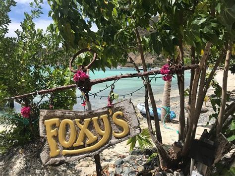 Foxys Bar Jost Van Dyke 2021 All You Need To Know Before You Go