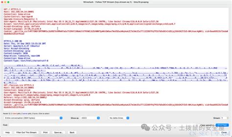CTF 流量Wireshark 实战技法解析 CN SEC 中文网