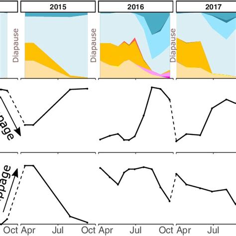 Genetic Slippage Resulting From Sexual Reproduction In The Aegelsee D Download Scientific