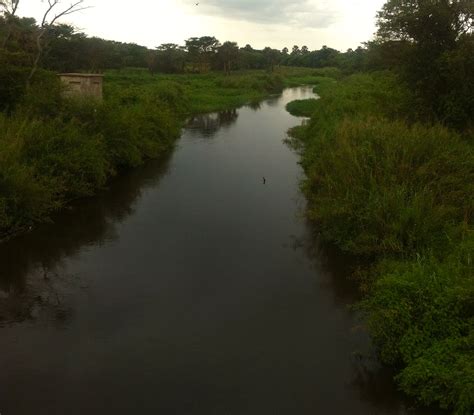 A Day Going Up Country Creekbank Stories
