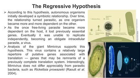 Origin And Evolution Of Virus Pptx