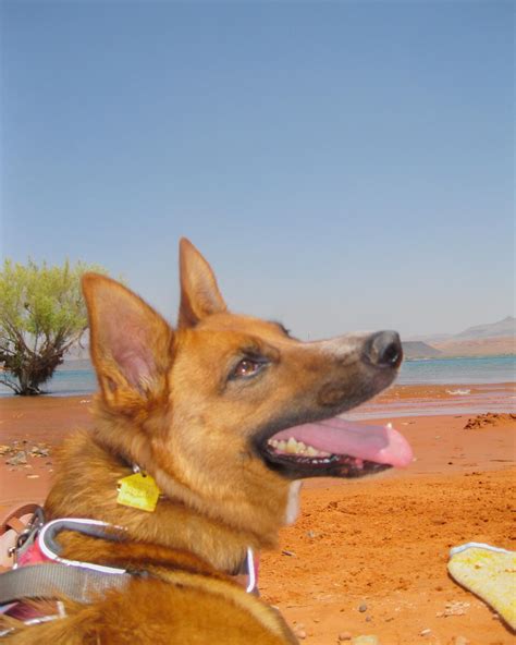 Alysse Ogaard 📍 Sand Hollow State Park 06292025 • Culvers Tastes