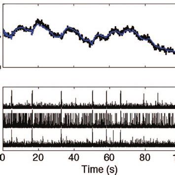 Color Online Training And Prediction Phases For Potassium Download Scientific Diagram