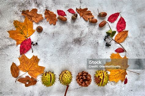 말린 나뭇잎 가지 소나무 콘 베리 도토리 및 어두운 콘크리트 배경에 커피 한 잔으로 만든 가을 프레임 템플릿 모형 가을 할로윈 플랫 레이 복사 공간 배경 0명에 대한 스톡