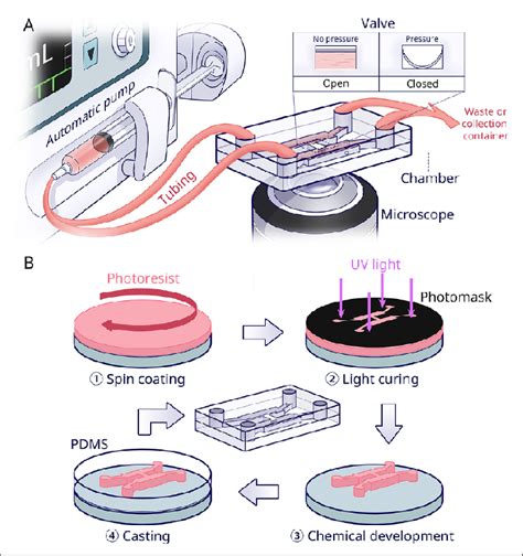 Overview Of Microfluidic Chip Technology A Schematic Of An Automated