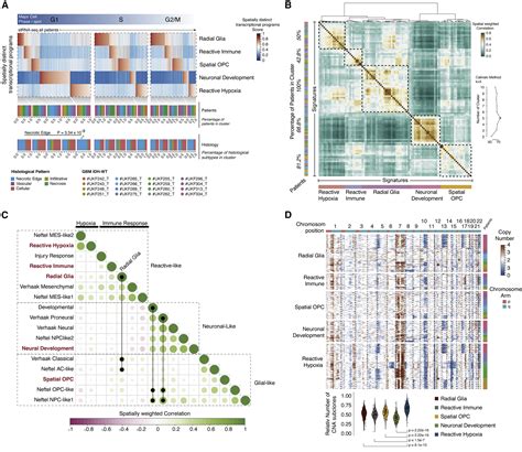 Spatially Resolved Multi Omics Deciphers Bidirectional Tumor Host