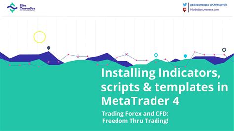 Installing Indicators Scripts And Templates To MetaTrader MT YouTube