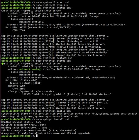 Manage Openssh Server From Cli And Configure Ssh To Automatically Start