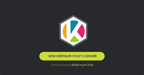 Kibernum Chile Torre