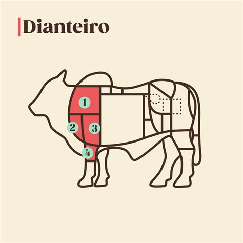 Cortes Do Boi Saiba Onde Fica Cada Um E Como Usá Los Na Cozinha