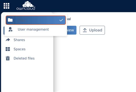 App Section Barely Visible In Light Mode · Issue 6958 · Owncloudweb