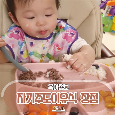 자기주도이유식 시기 언제부터 아이주도이유식 장점은 무엇일까 네이버 블로그