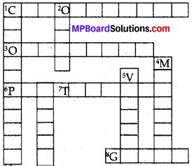 MP Board Class Th Science Solutions Chapter Cell Structure And Functions MP Board Guru