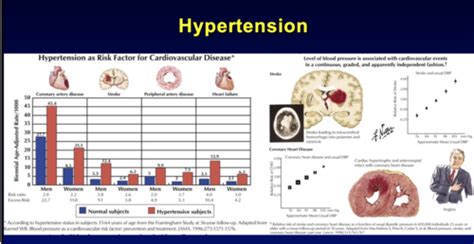 CVS 3 Flashcards Quizlet