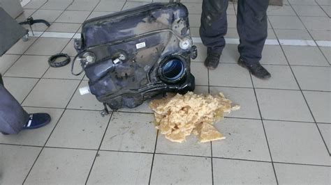 Ford Focus 3 Фруктовый лед в баке — Drive2