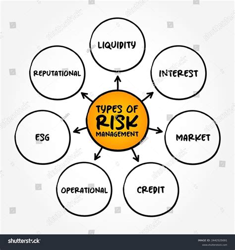 Types Risk Management Process Identifying Assessing Stock Vector
