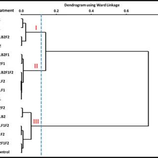 Dendrogram Results From Wards Method Of Hierarchical Cluster Analysis