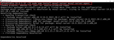 Install Sql Server 2017 On Red Hat Linux On Aws Part 2