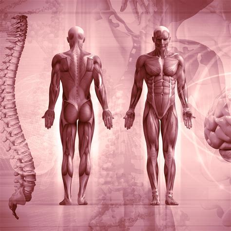 Ninja Nerd Ninja Nerd Added A New Photo