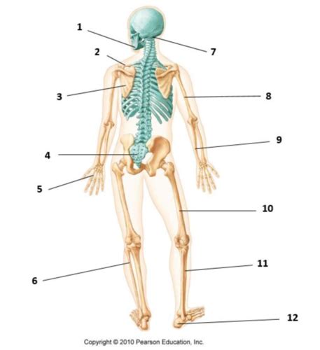 Module 3 4 Quiz Flashcards Quizlet