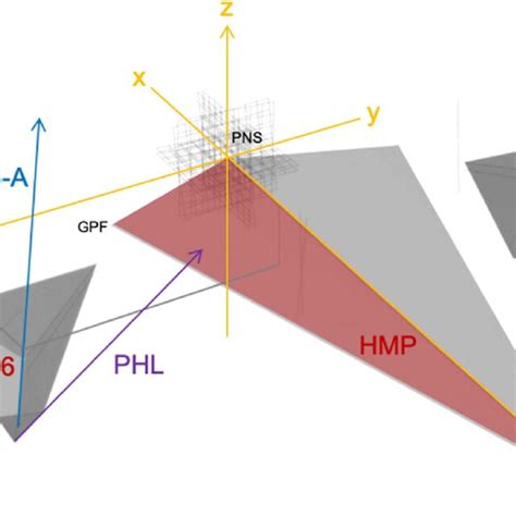Graphic Representation Of The Mathematical Model Used For The Analysis Download Scientific
