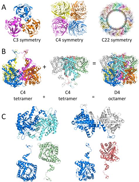 Common Symmetries In Protein Crystals A Cyclic Assemblies C3 C4