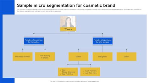 Sample Micro Segmentation For Cosmetic Brand Introduction To Micromarketing Customer Mkt Ss V