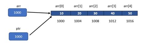 Concept Of Memory Addresses In Pointers Bartleby